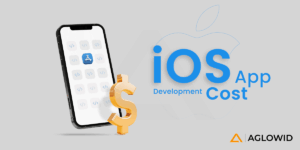 How Much Does it Cost to Develop an iOS App? - A Complete Analysis